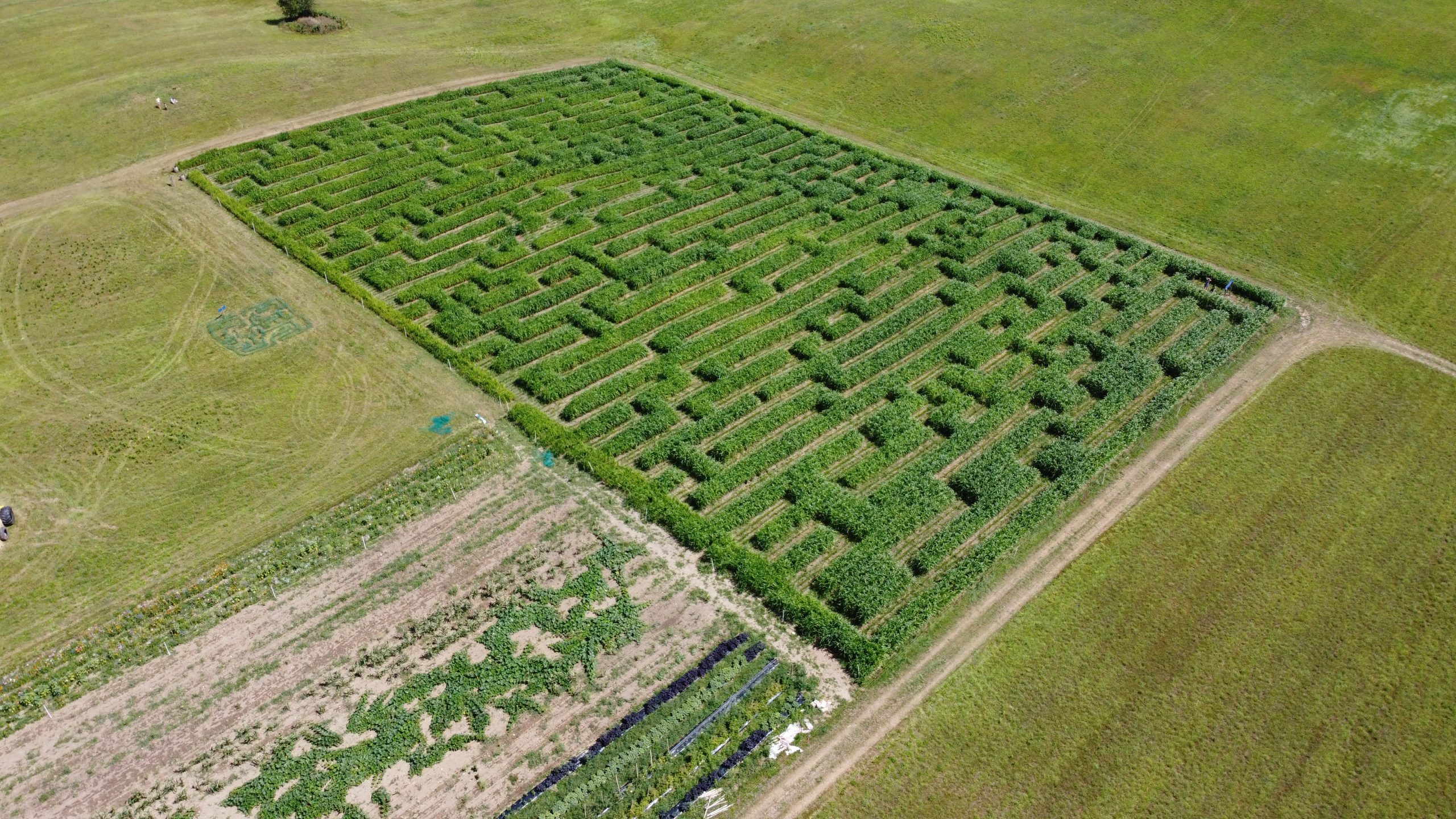 Un labyrinthe à Waterville: à mi-chemin entre attrait touristique et ...